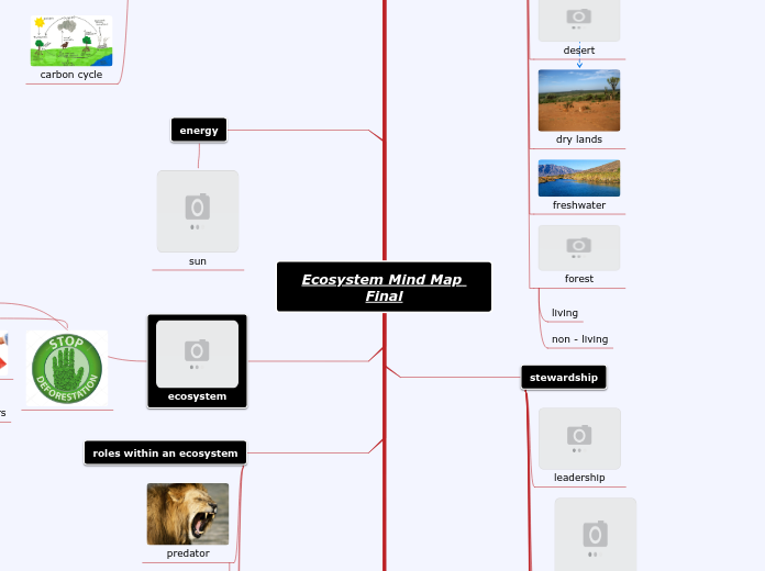 Ecosystem Mind Map Final - Mind Map
